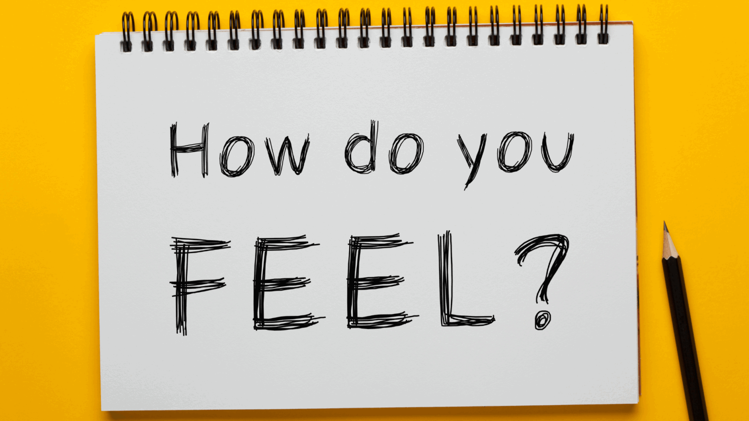 영어로 질문을 만들기 (How to Make Questions) - Gab! Gab! English (갭! 갭! 잉글리쉬)