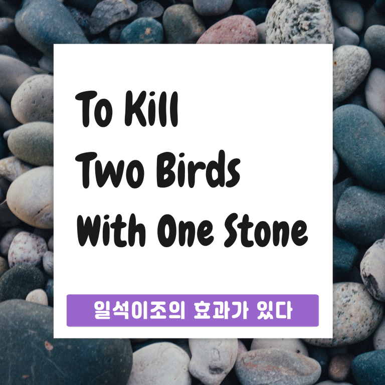 To Kill Two Birds With One Stone (일석이조) [관용어] - Gab! Gab! English (갭! 갭 ...